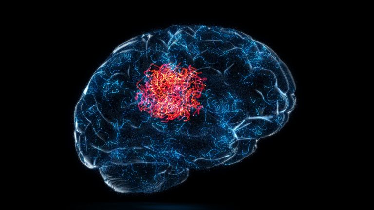 The Impact of Language on Memory: How Words Shape Our Recall Abilities ...